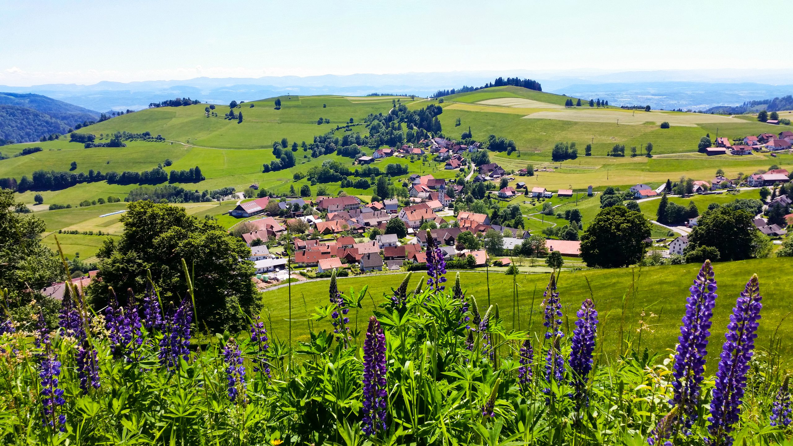 Golddorf Gersbach - auf der Sonnenterrasse im südlichen Schwarzwald ...