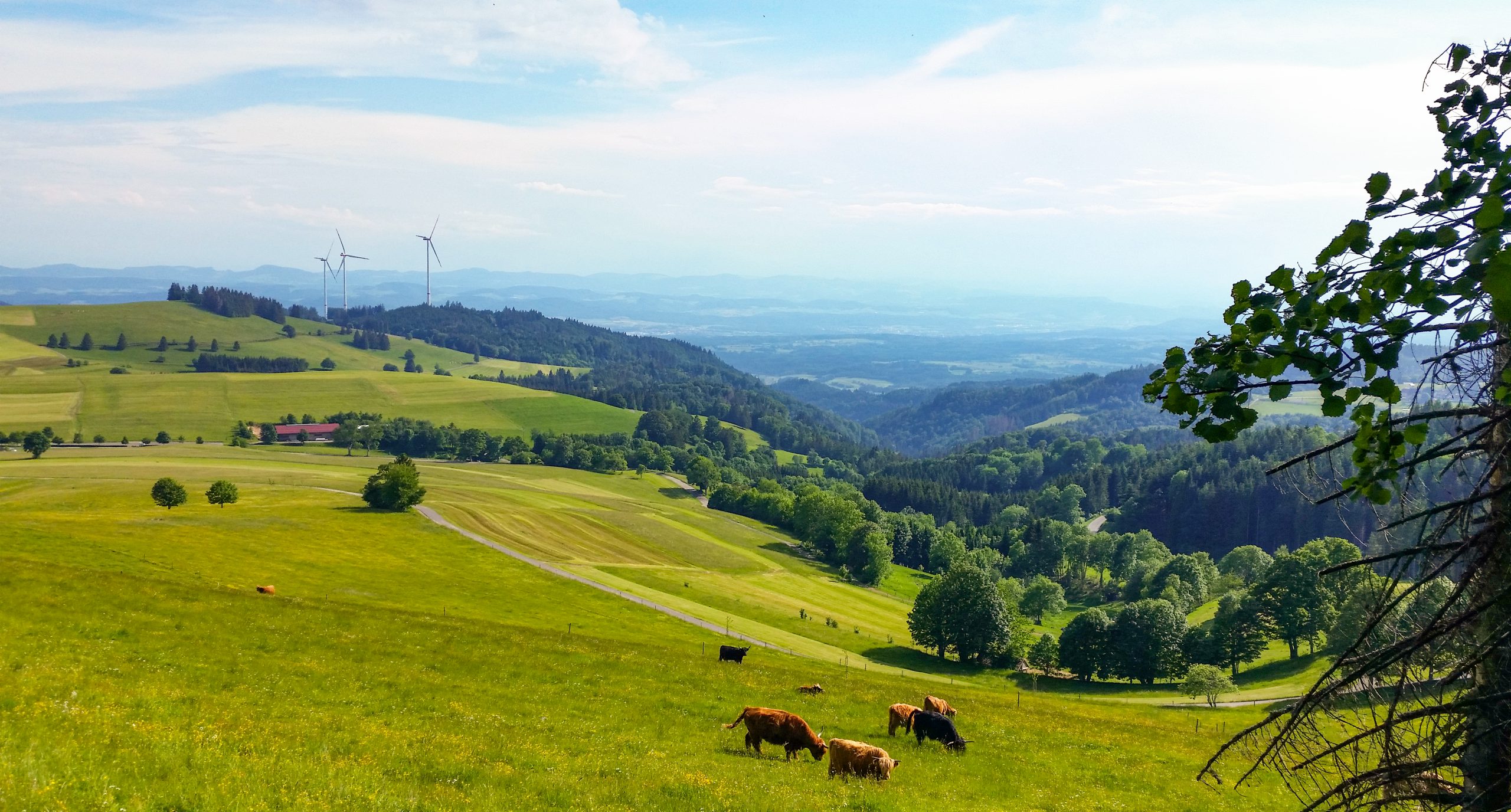 Golddorf Gersbach - auf der Sonnenterrasse im südlichen Schwarzwald ...